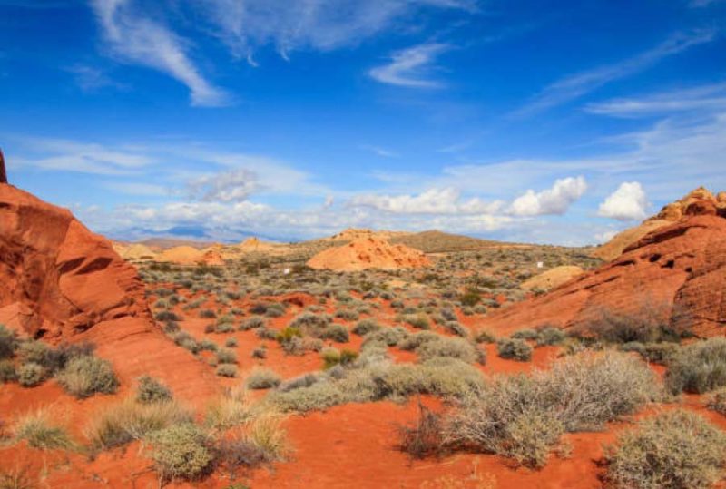 Parks & Monuments - El Rancho Hotel